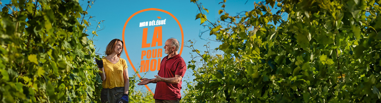 MSA - La sécurité sociale agricole - MSA_FR
